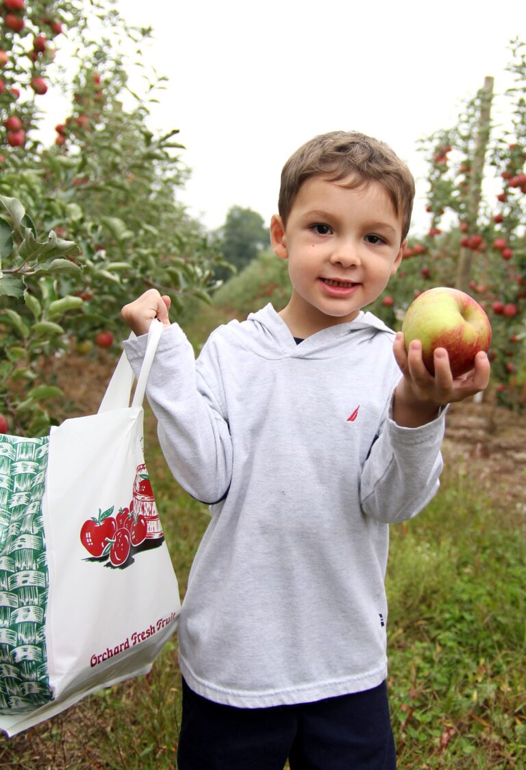 Mann Orchards Riverside Farm | Family Activities in Methuen