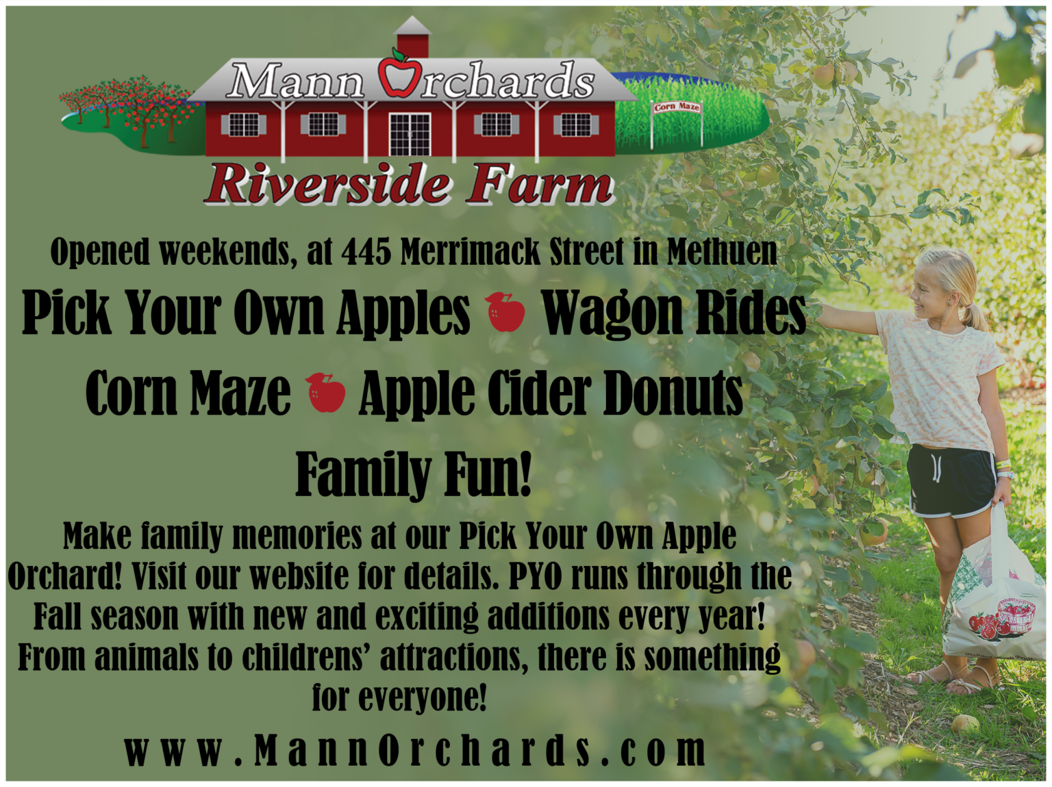 Apple Picking in Methuen | Mann Orchards Riverside Farm
