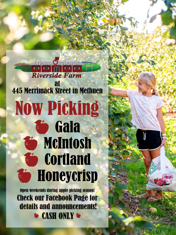 nowpicking2025_2 - Mann Orchards