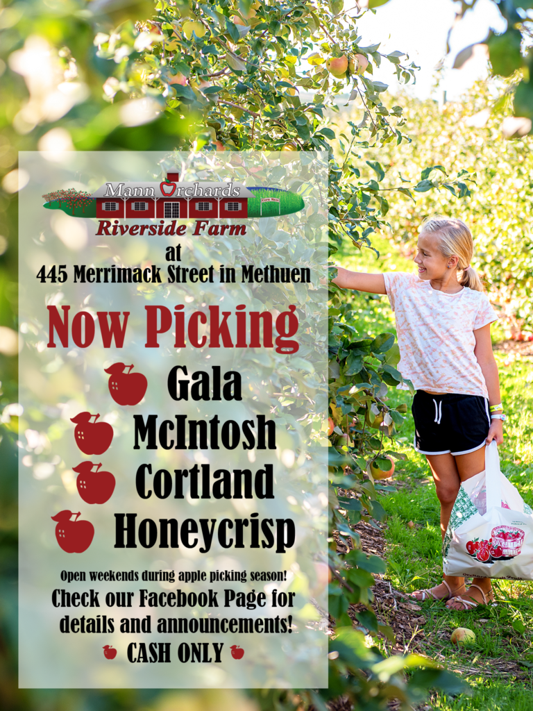 Apple Picking in Methuen | Mann Orchards Riverside Farm
